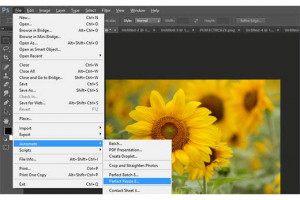 How to Resize and Make Images Larger Without Losing Quality