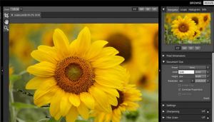 How to Resize and Make Images Larger Without Losing Quality