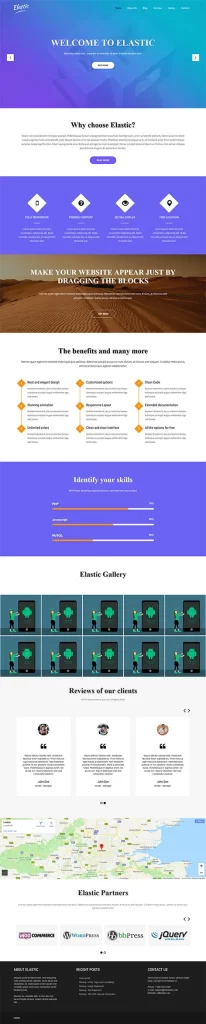 Elevate Your 1 Classy WordPress Theme Design